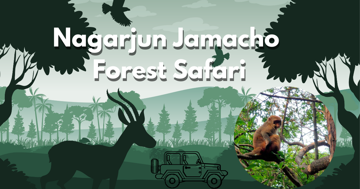 Nagarjun Forest Safari